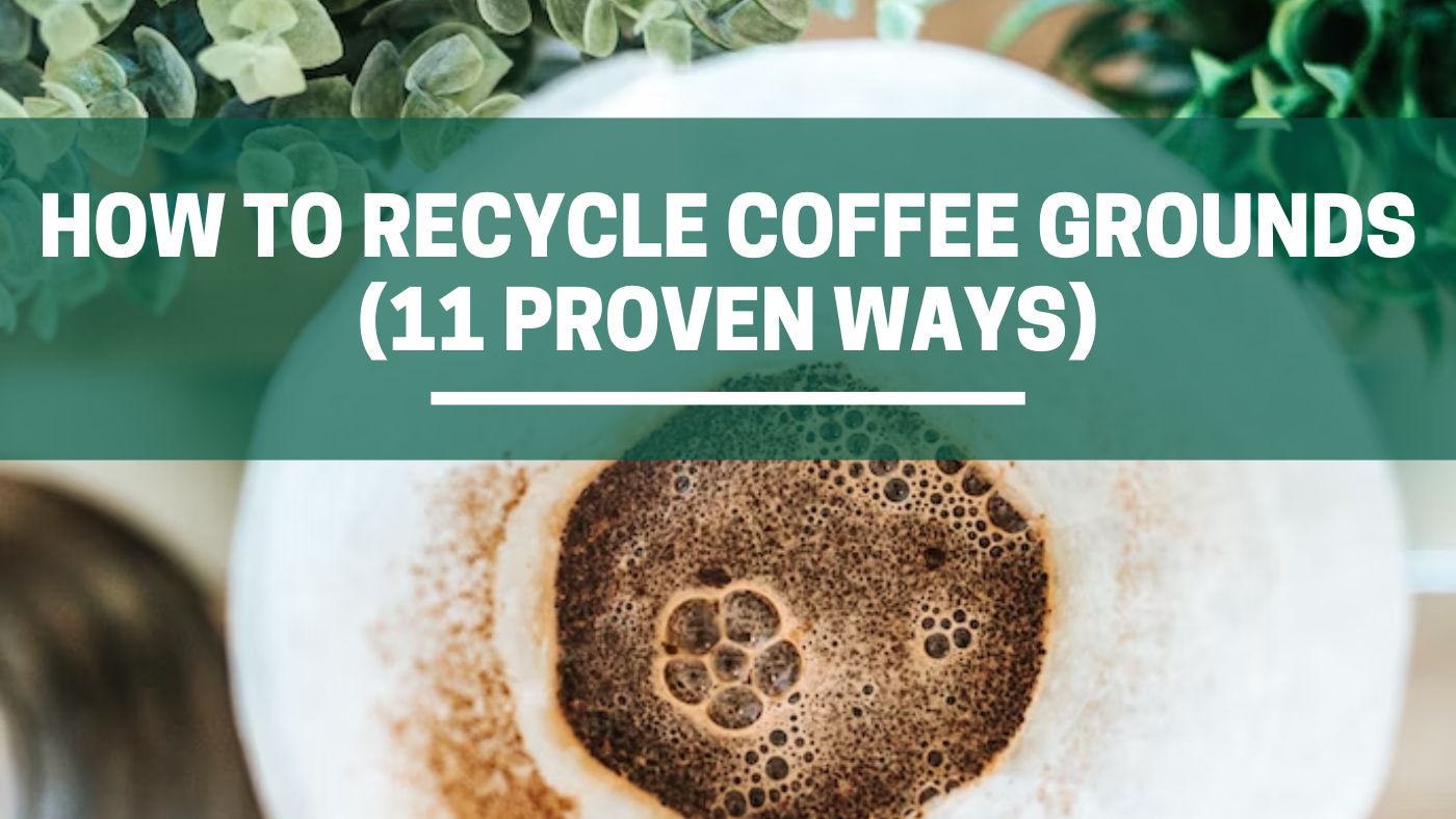 How To Recycle Coffee Grounds (11 Proven Ways!) – Green Pods Australia